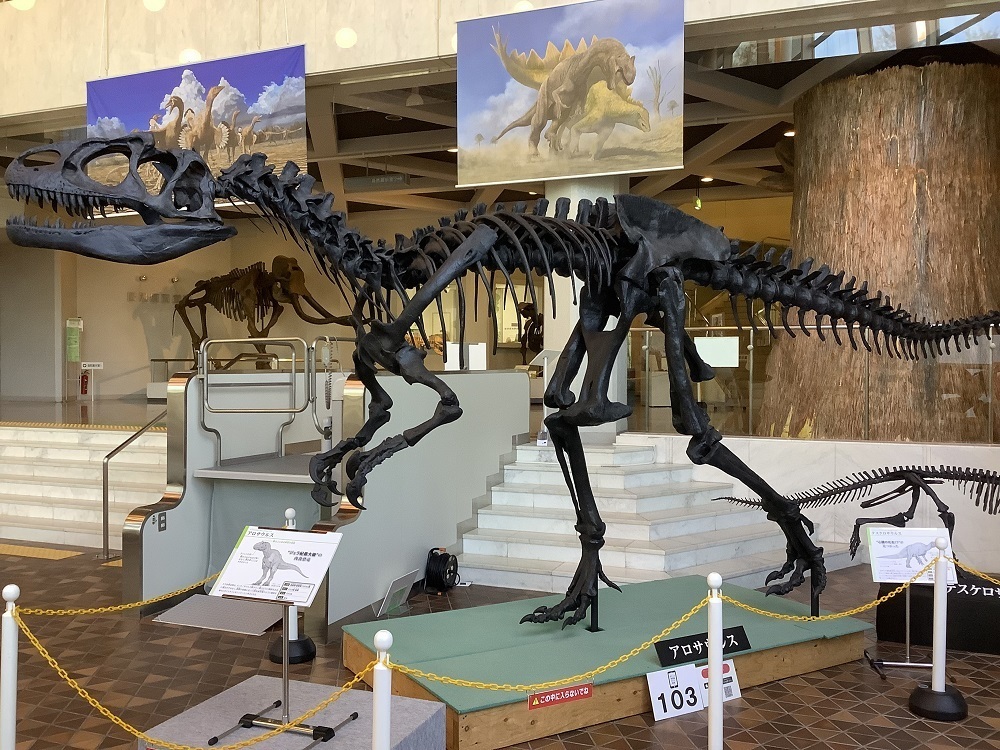 JAFデーin岐阜県博物館「化石体験教室＆昔遊び」（岐阜県関市：1月17日開催） | JAFナビ