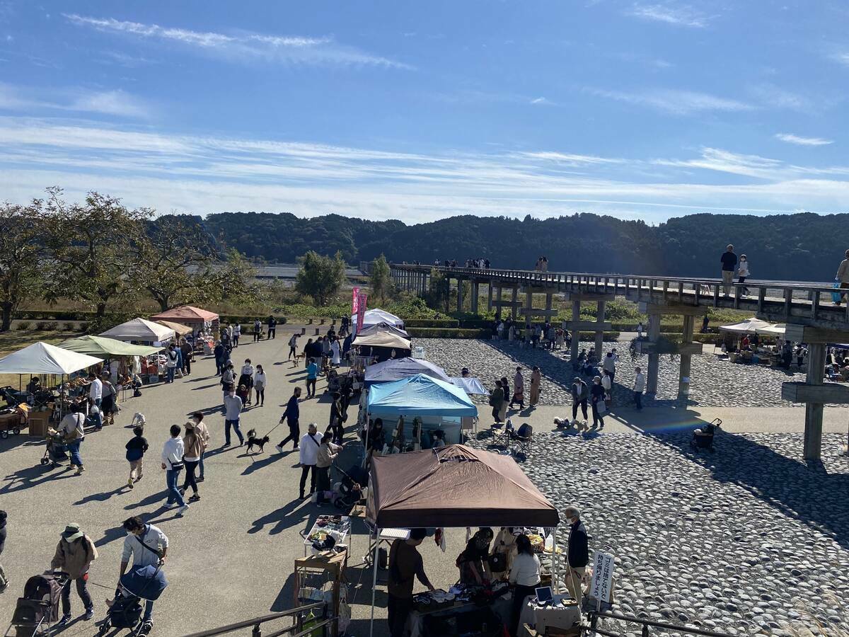 わんてらすdog&foodマルシェin島田市2025【ノベルティ進呈】 | JAFナビ