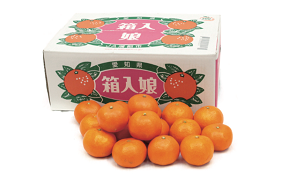 【12月7日締め切り】愛知県蒲郡市産ブランドみかん「箱入娘」を抽選で2名様にプレゼント | JAFナビ