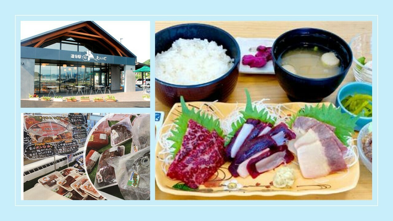 那智勝浦町・太地町特集 | JAFナビ